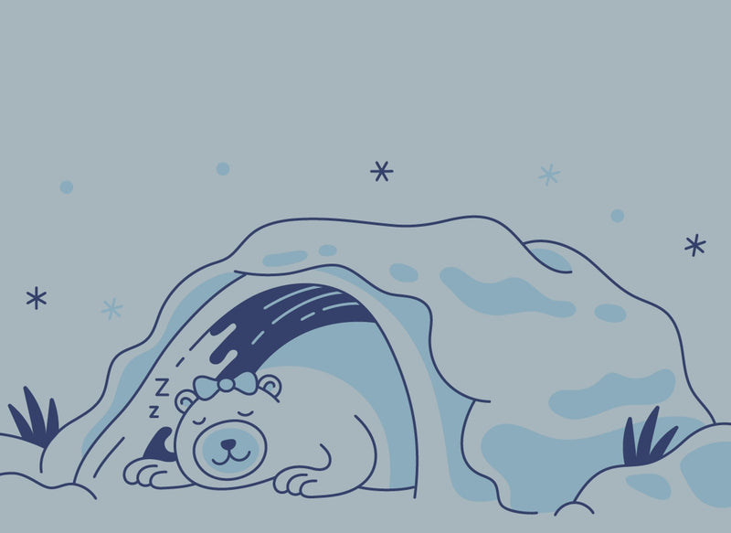 How Do Animals Sleep? The Sleeping Habits of Different Species | Casper ...