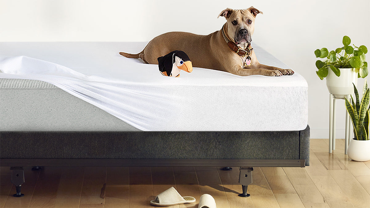 Breathable Protective Mattress Covers | Casper
