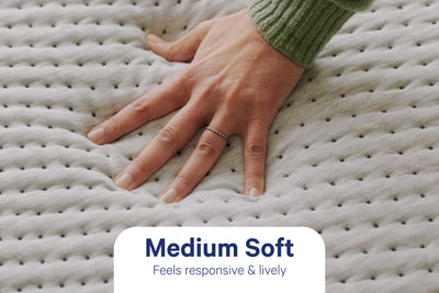 Casper Dream vs Dream Max Mattress | Casper