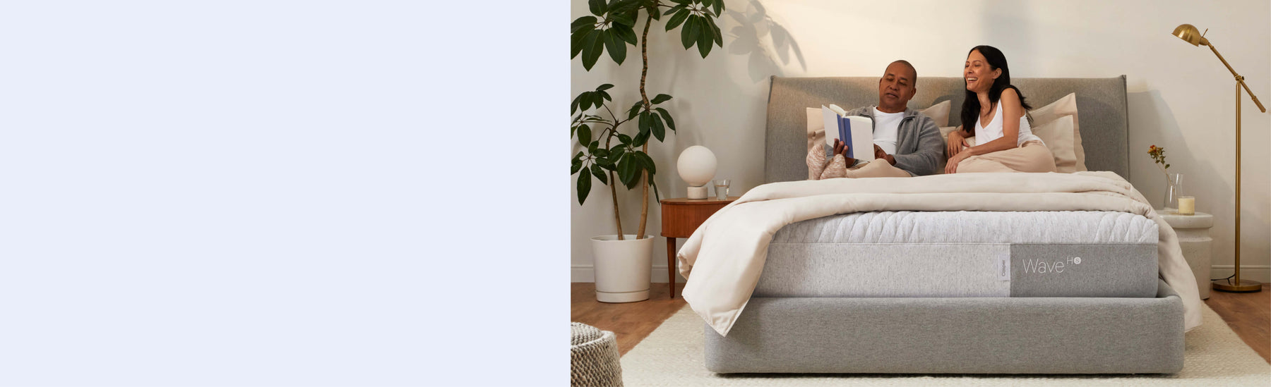 Extend Protection Plan